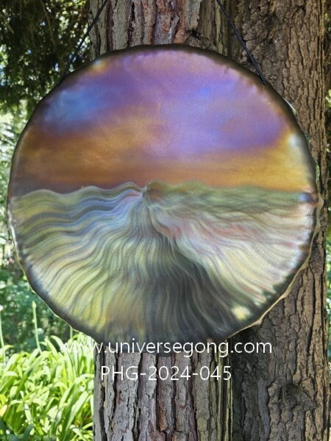 NEW PANORAMA Handheld Gong 50 Cm PHG-2024-45 - Etsy