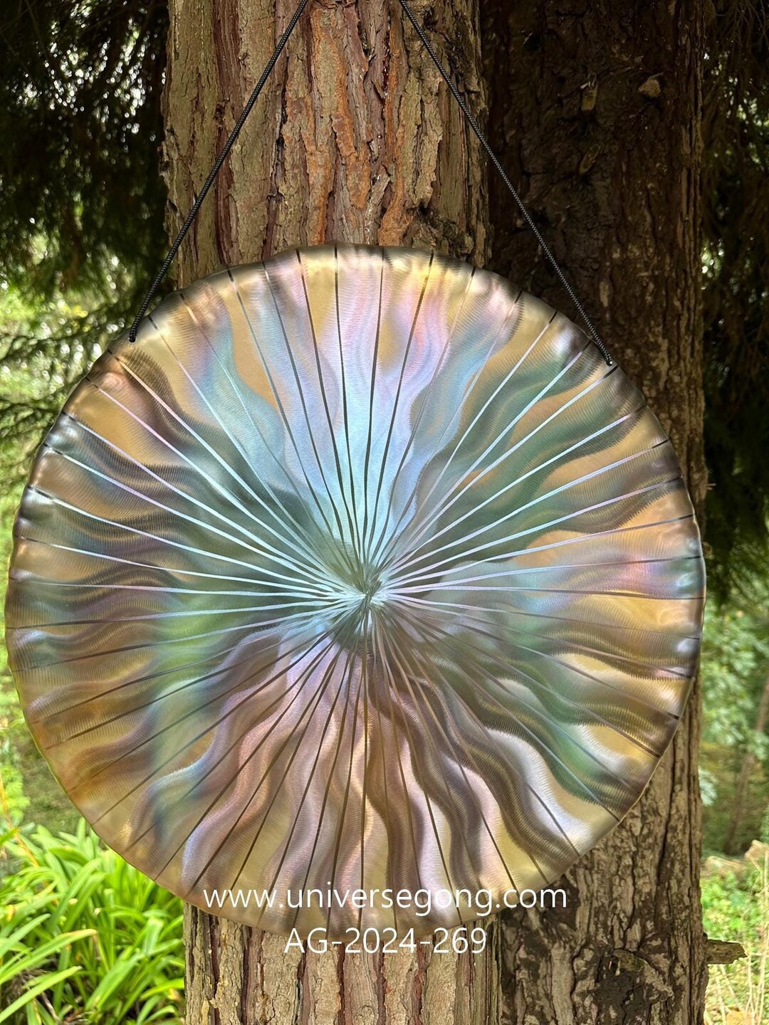 AURA_ Handheld Gong 50 Cm Easy to Play and Carry AG-2024-269 - Etsy