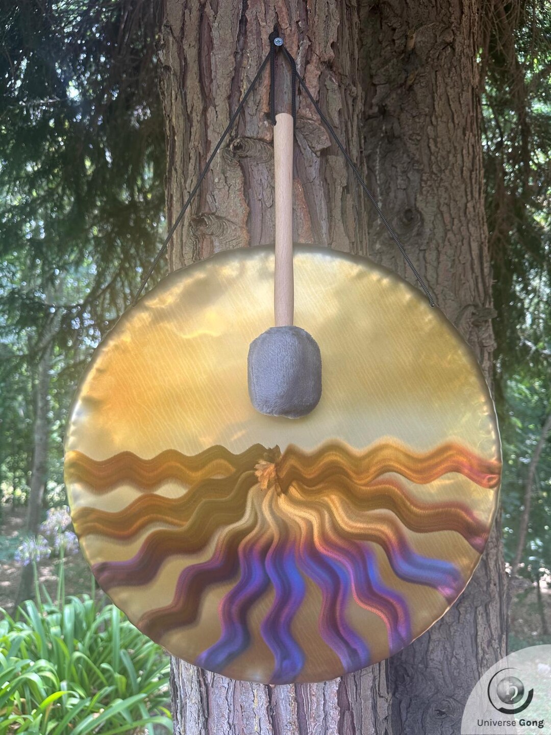 Panorama_hand-held Gong 50cm/20'' (PHG-2024-099) - Etsy
