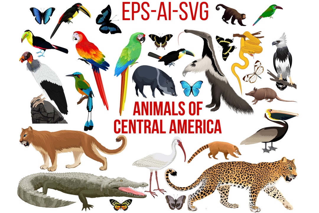 Big Set Animals of Central America - Vector Illustration (EPS+AI+SVG ...