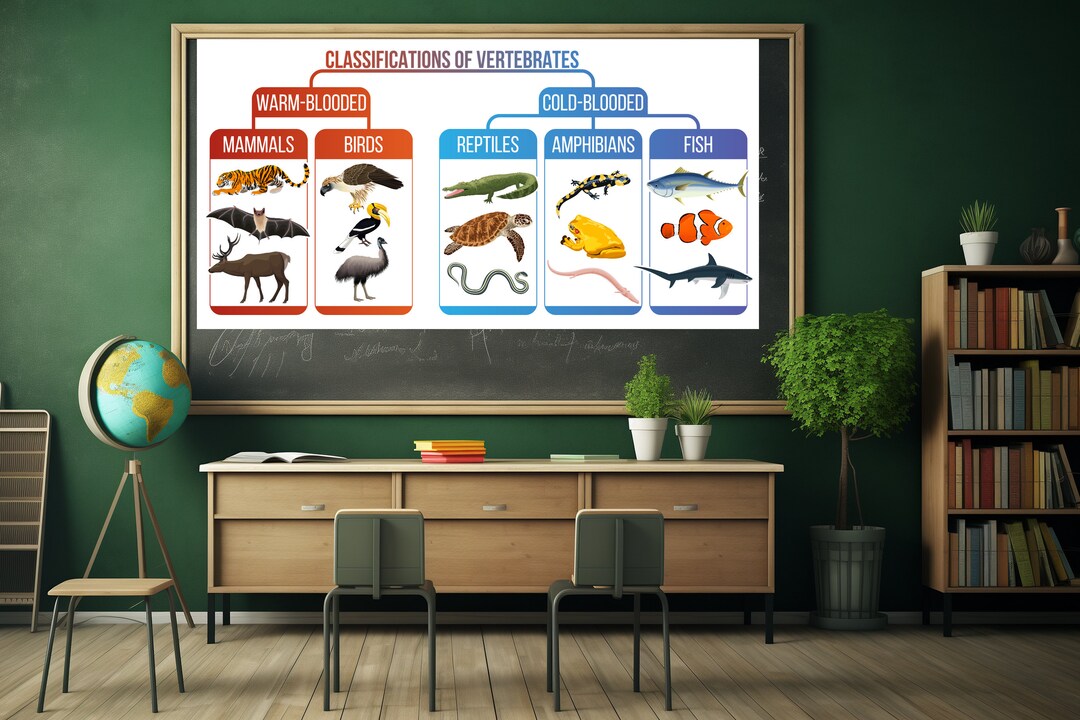 Sciense Poster. Classification of Vertebrates Animals Vector Scheme ...