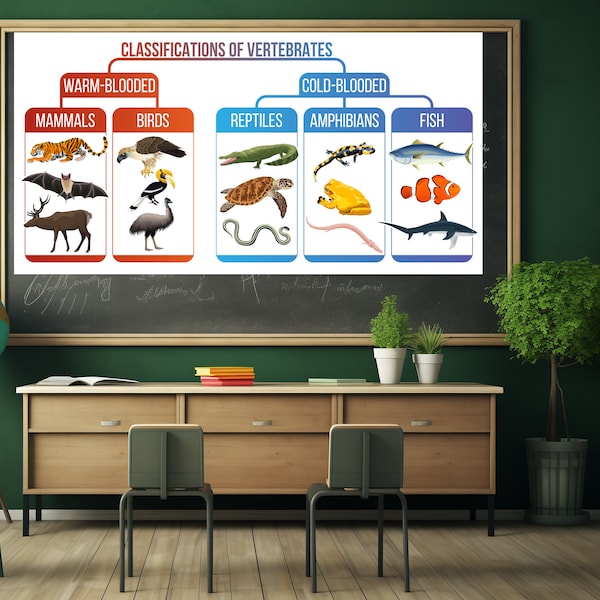 Vertebrates Poster - Etsy