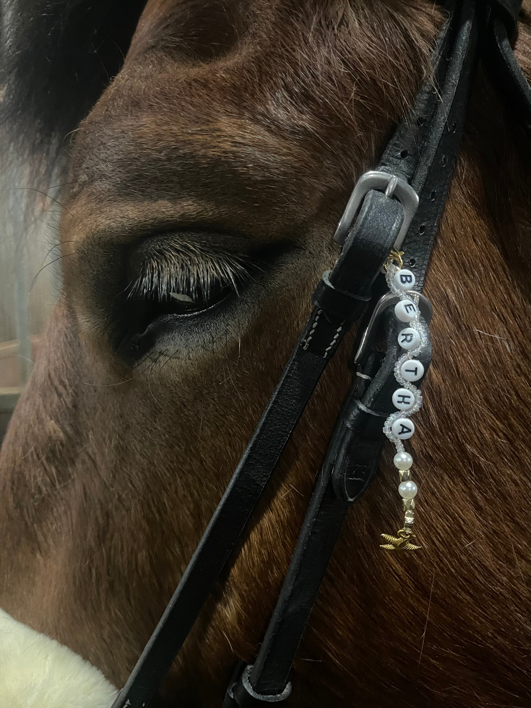 Horse Name Bridle Charm - Etsy UK