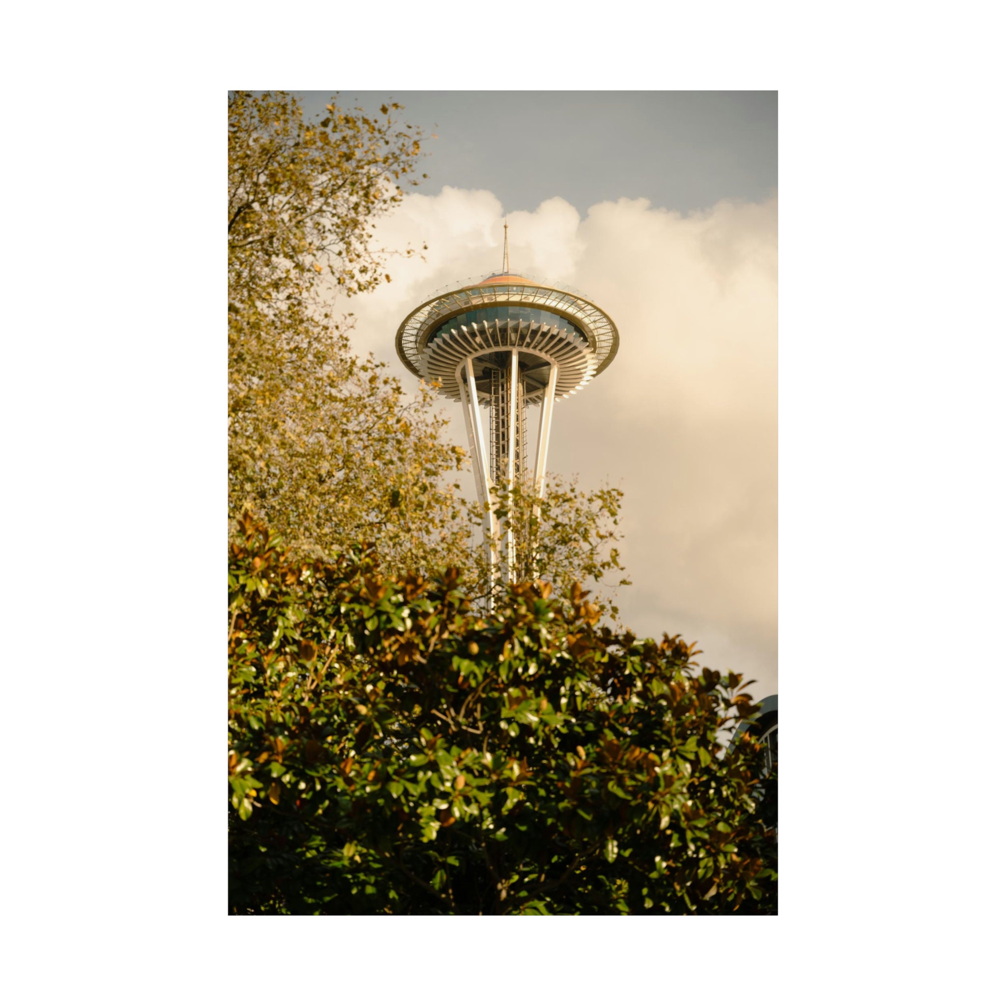 Seattle Space Needle Covered Seattle Art Photography Print - Etsy