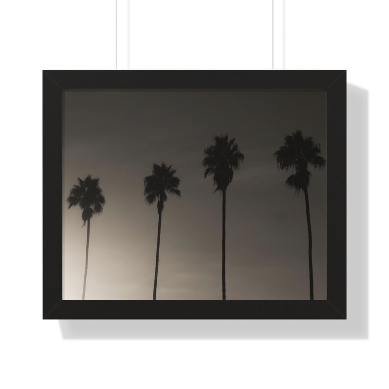 Palm Friends | Black White Palm Tree Wall Art - Etsy