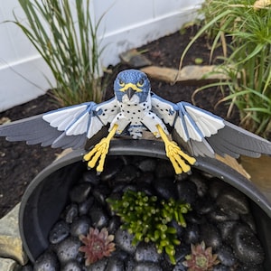 Pocket Peregrine Falcon Fidget Toy Decoration - Etsy