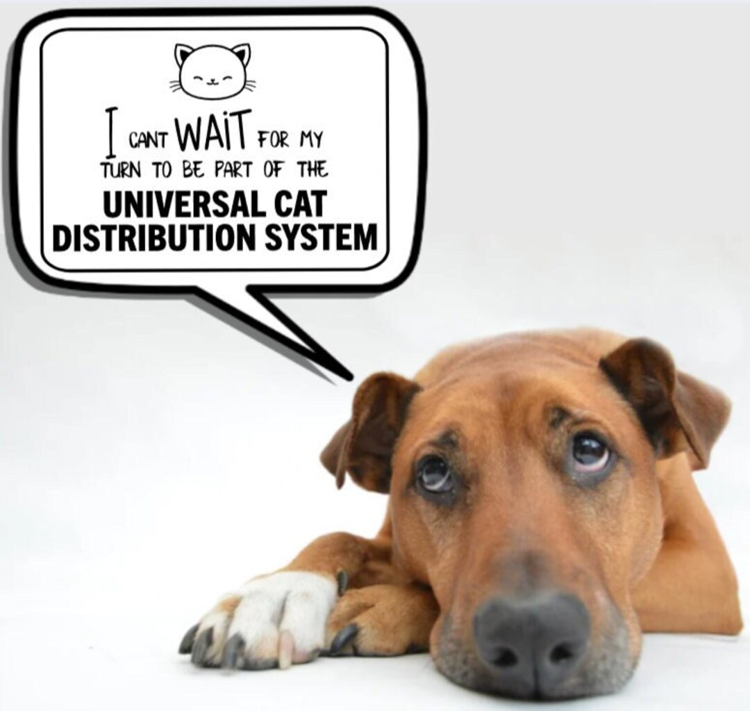 Cat Distribution System Find a Kitty Decal - Etsy