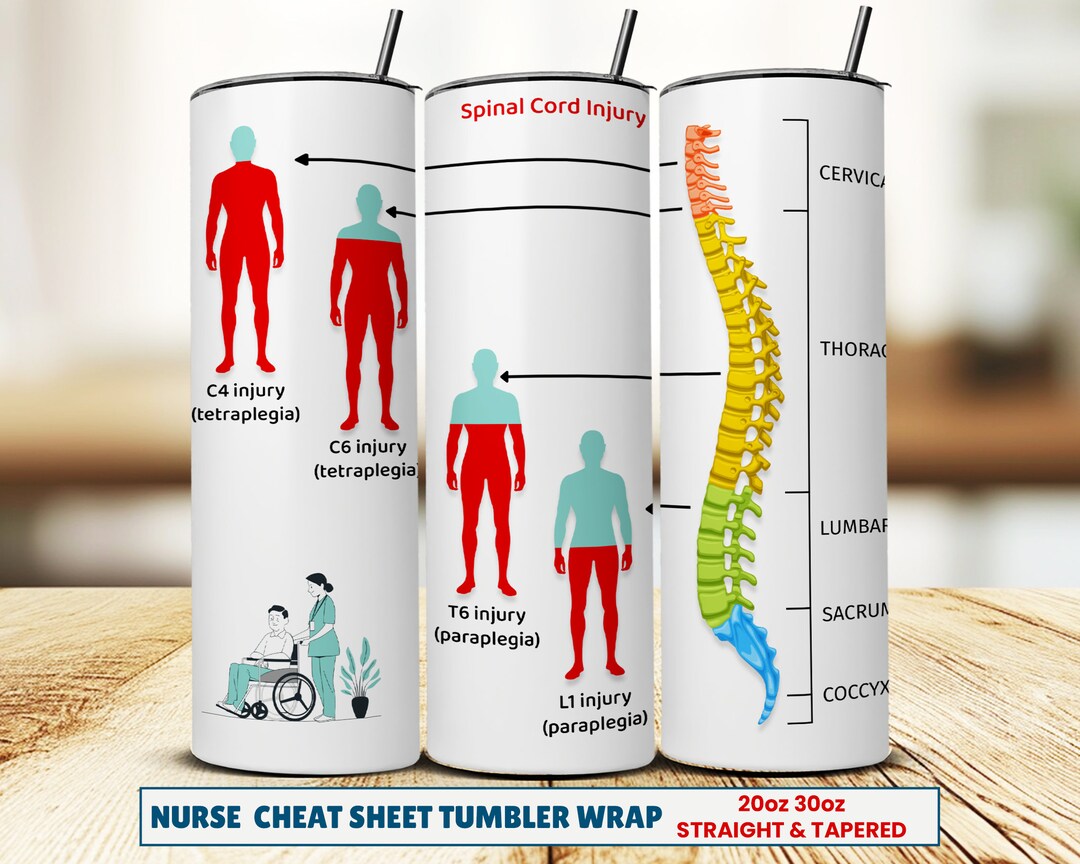 Nurse Life Tumble Wrap Spinal Cord Cheat Sheet Nurse Tumbler Wrap Nurse ...