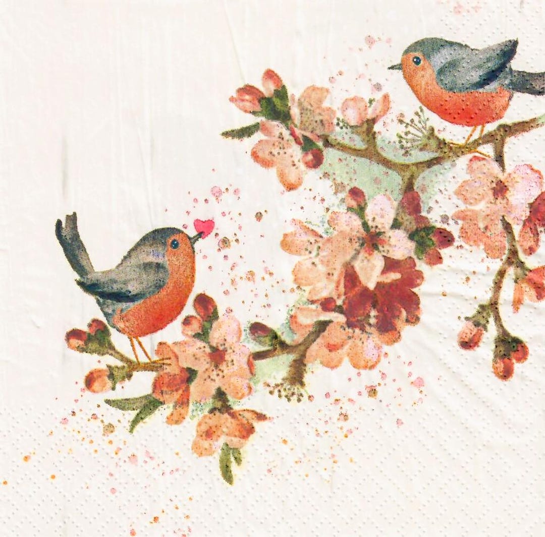 Robins on Cherry Blossom Decoupage Napkins, Robin Paper Napkins for ...