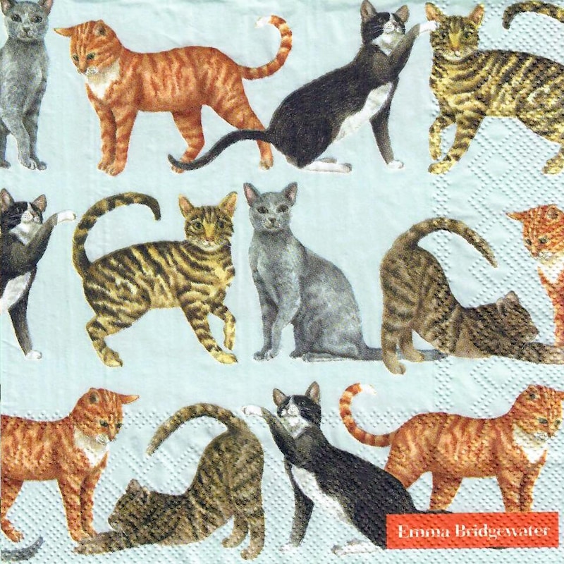 Decoupage Cat - Etsy