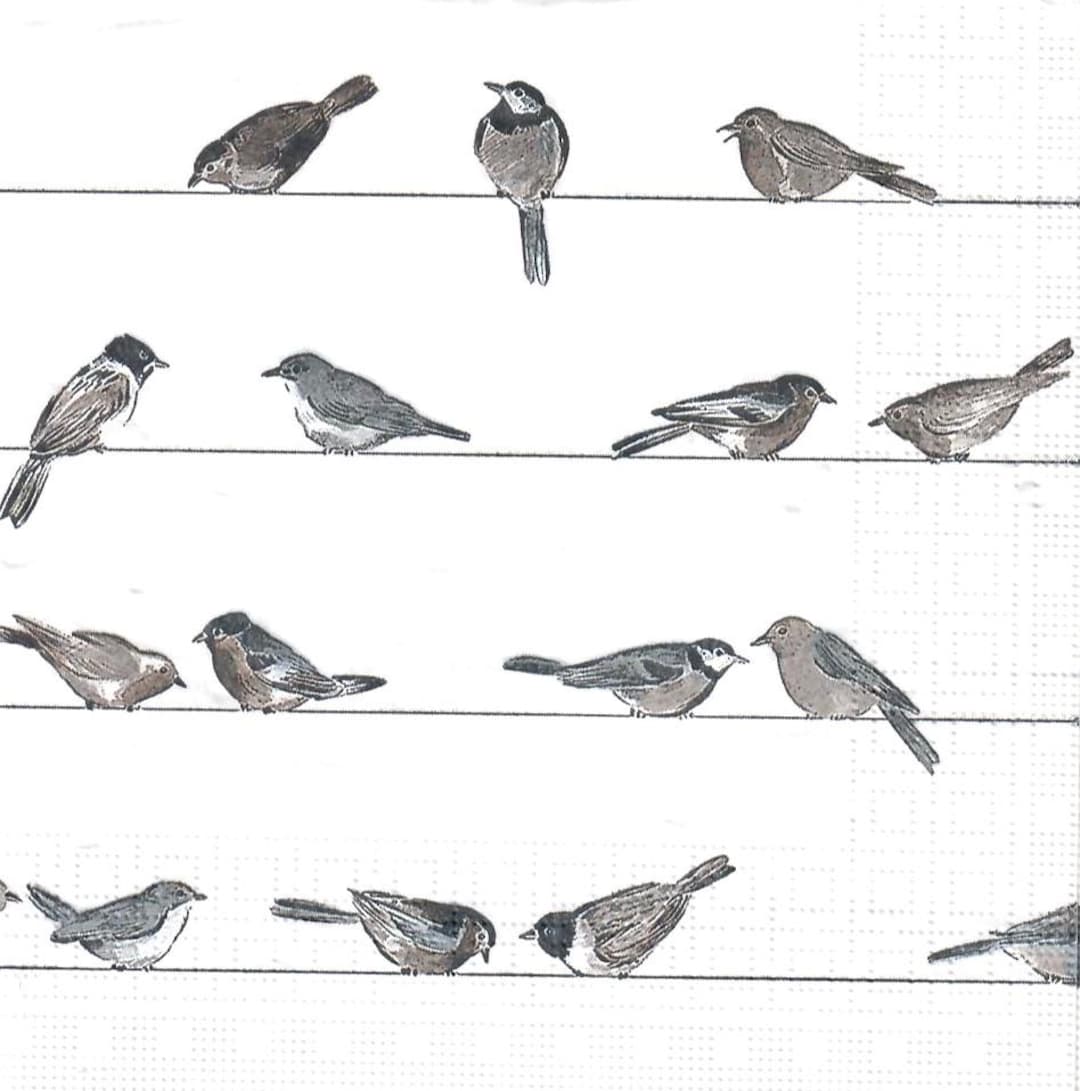 Garden Birds Paper Napkins, Decoupage and Scrapbooking, (set of 2, Not ...