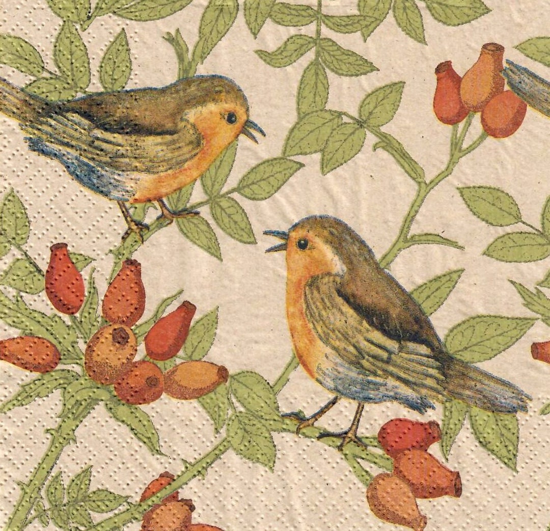 Robin and Rosehips Decoupage Napkins , Christmas Robin Paper Napkins ...