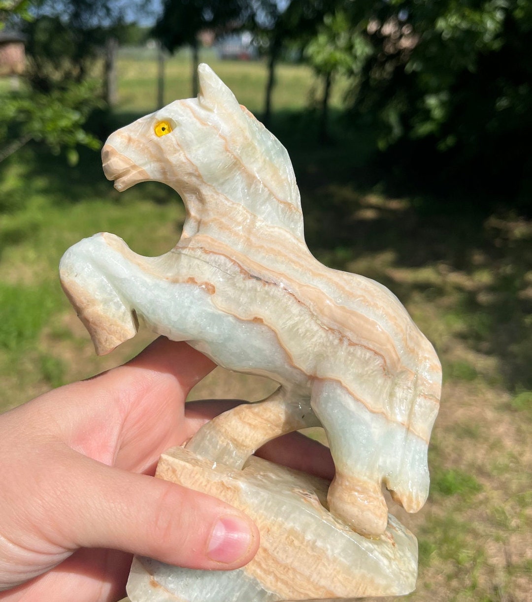 Rare and Gorgeous, Carribean Calcite Horse Crystal Carving, Perfect for ...
