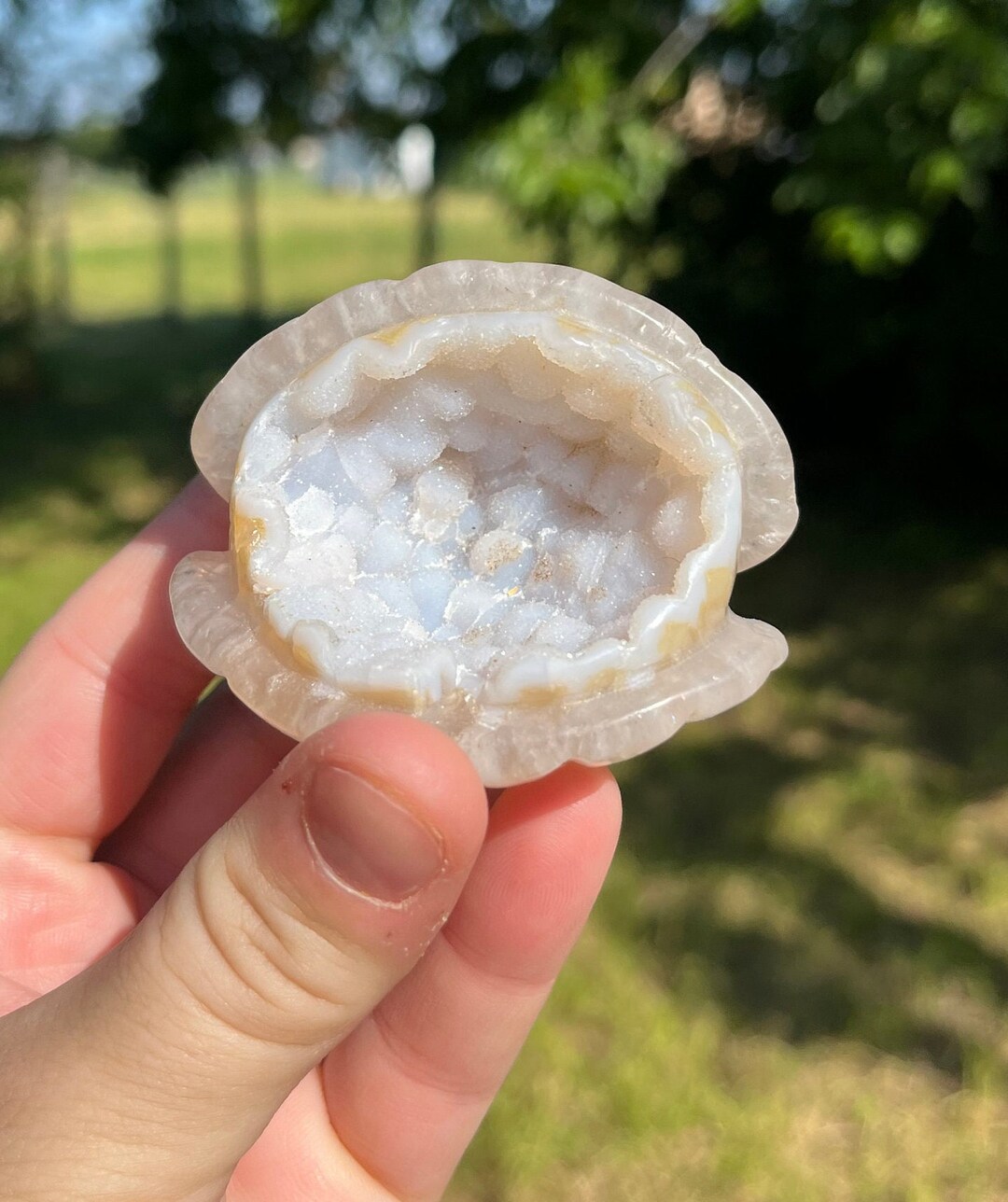 2" Clear Quartz W/golden Healer Drusy Clam Shell Crystal Carving, Perfect Gift for Families ...