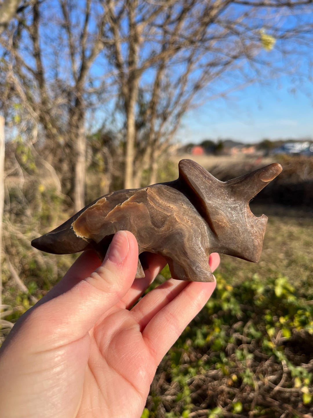 2.5” Dark Brown Chert Triceratops Dinosaur Carving, Perfect for for ...