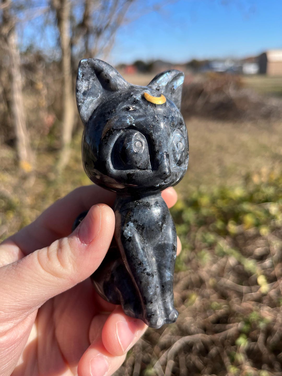 Large, Shiny, Luna Cat Larvikite Carving Crystal, Perfect Gift for ...