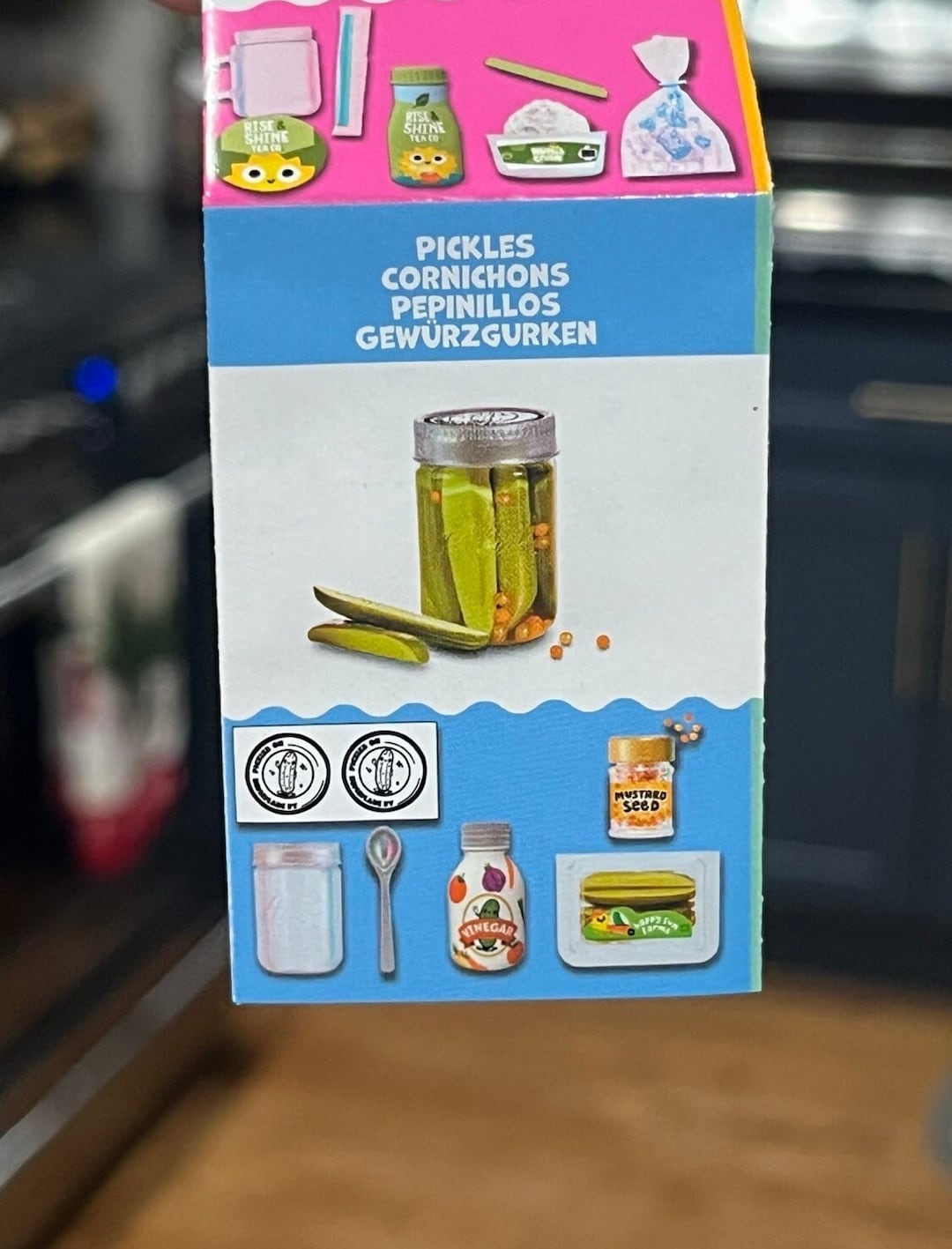 Miniverse pickles Cafe Series 3 - Etsy