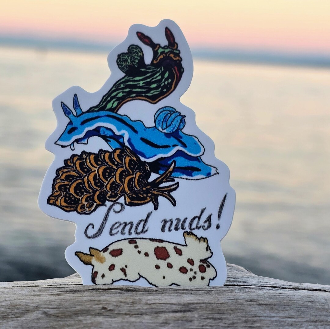 Send Nuds Sea Slug Nudibranch Sticker, Waterproof, Uv-proof Vinyl ...