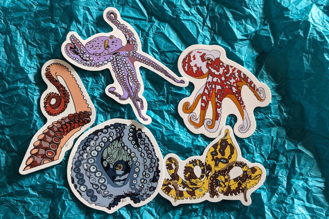 Octopus Sticker Gift Set | Dishwasher-safe, Fade-proof Vinyl Sticker ...