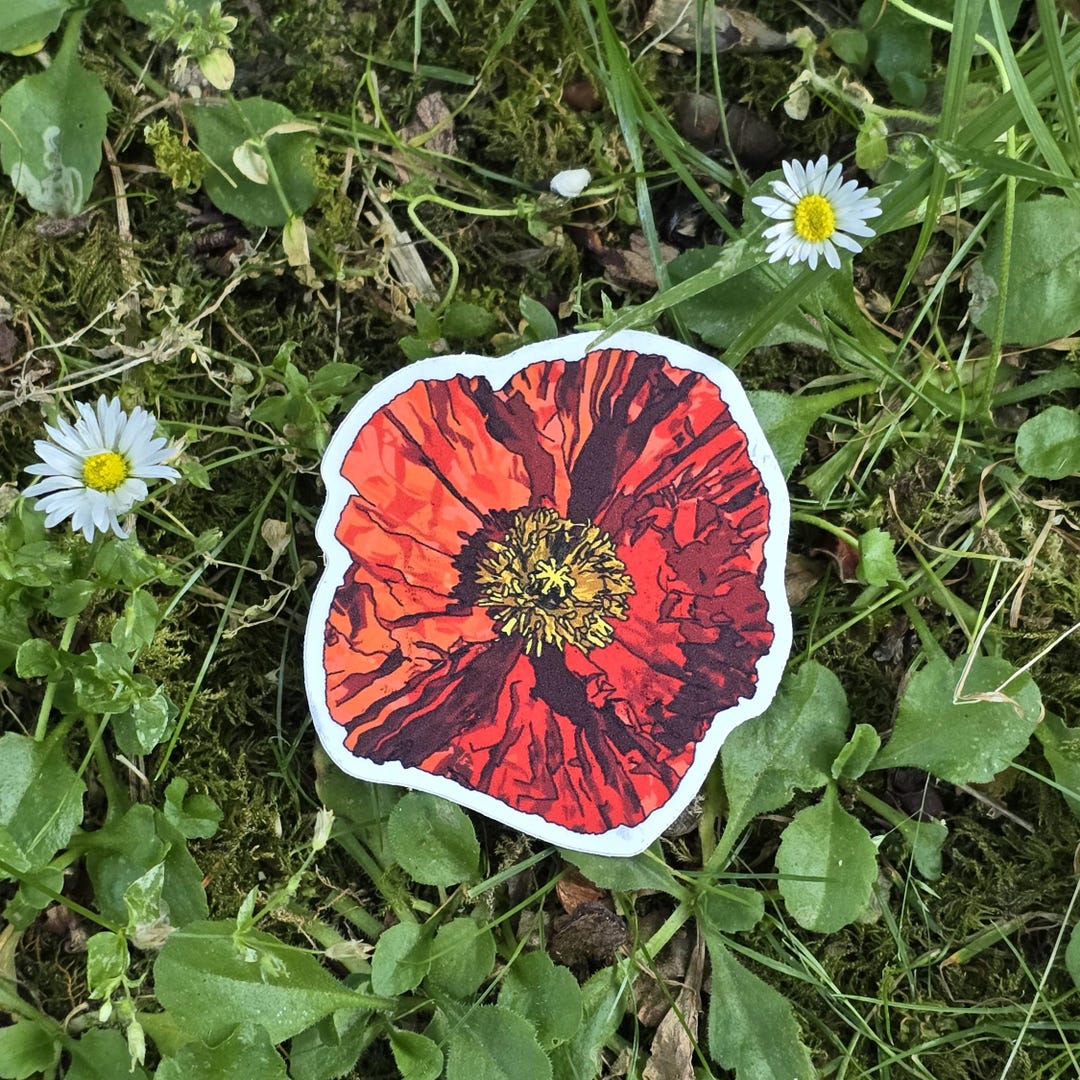 Red Poppy Sticker | Dishwasher-safe, Fade-proof Vinyl Sticker | Laptop ...