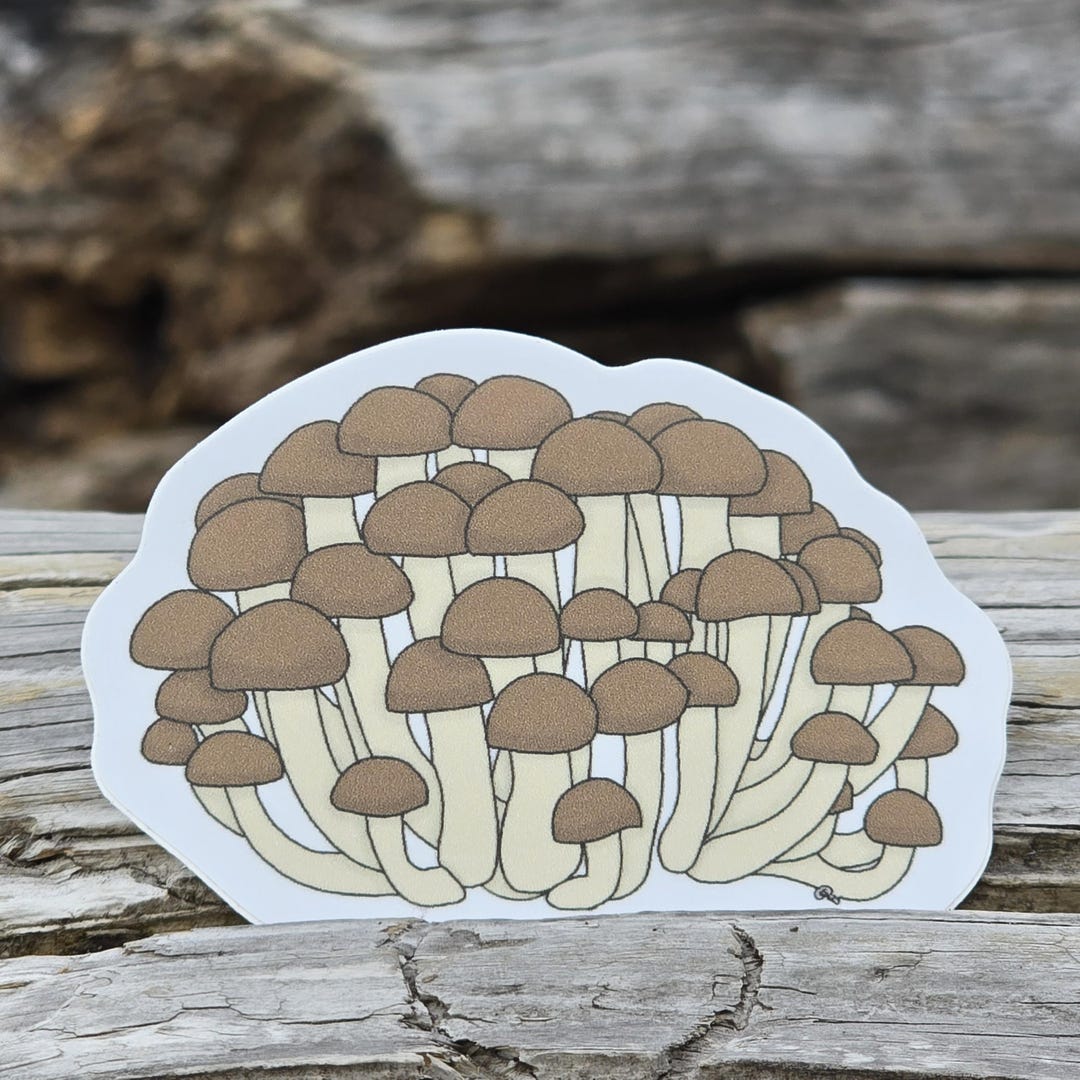 Honey Mushrooms Sticker | Dishwasher-safe, Fade-proof Vinyl Sticker ...