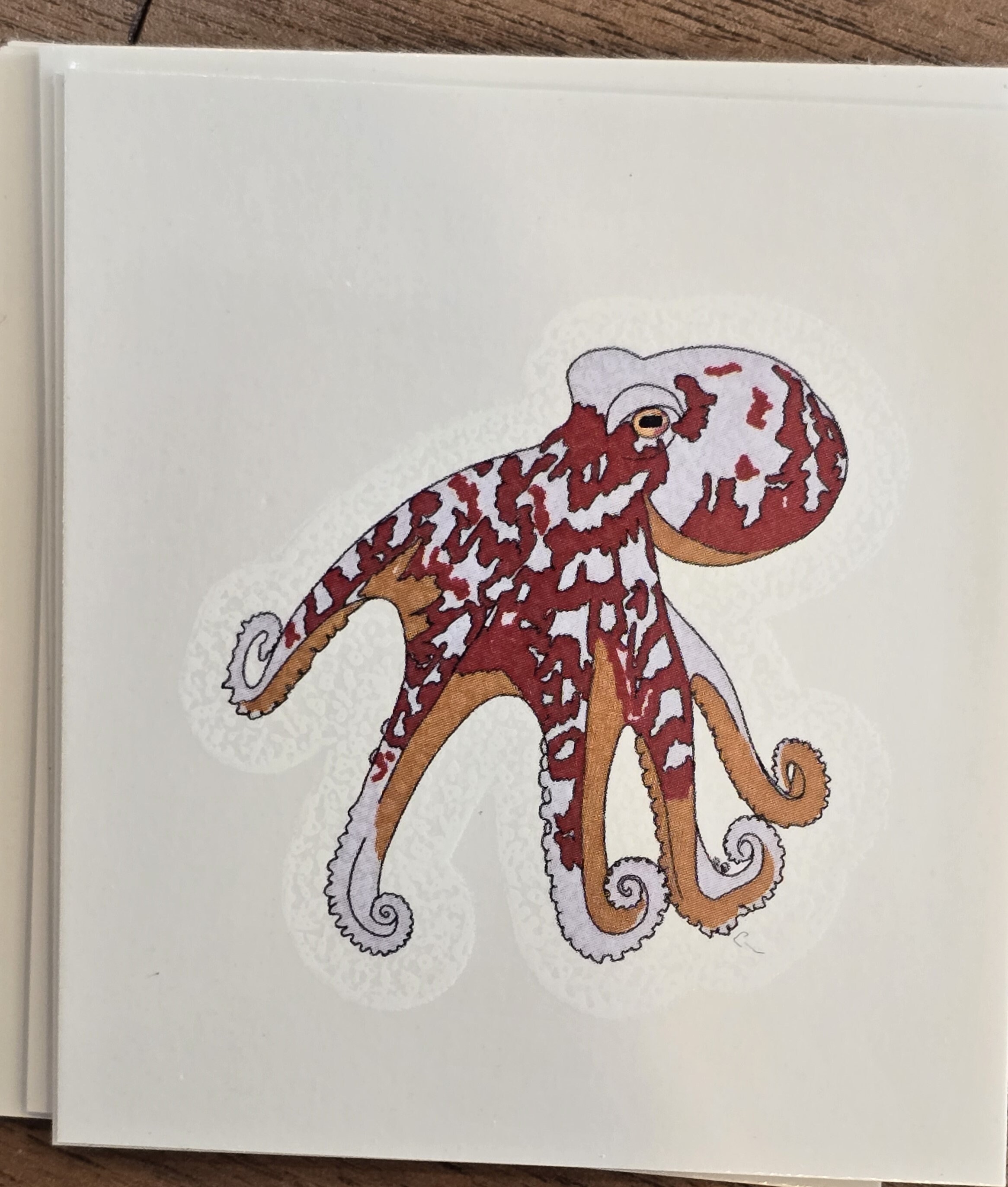 Octavia Giant Pacific Octopus Temporary Tattoo - PARTY PACK | Party ...