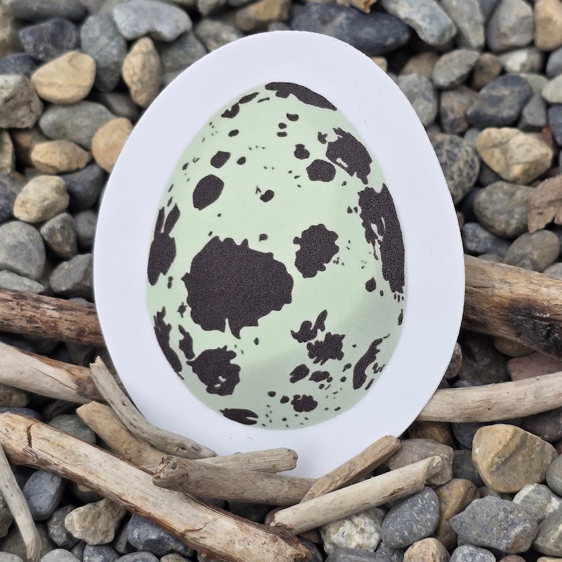 Quail Stickers - Etsy