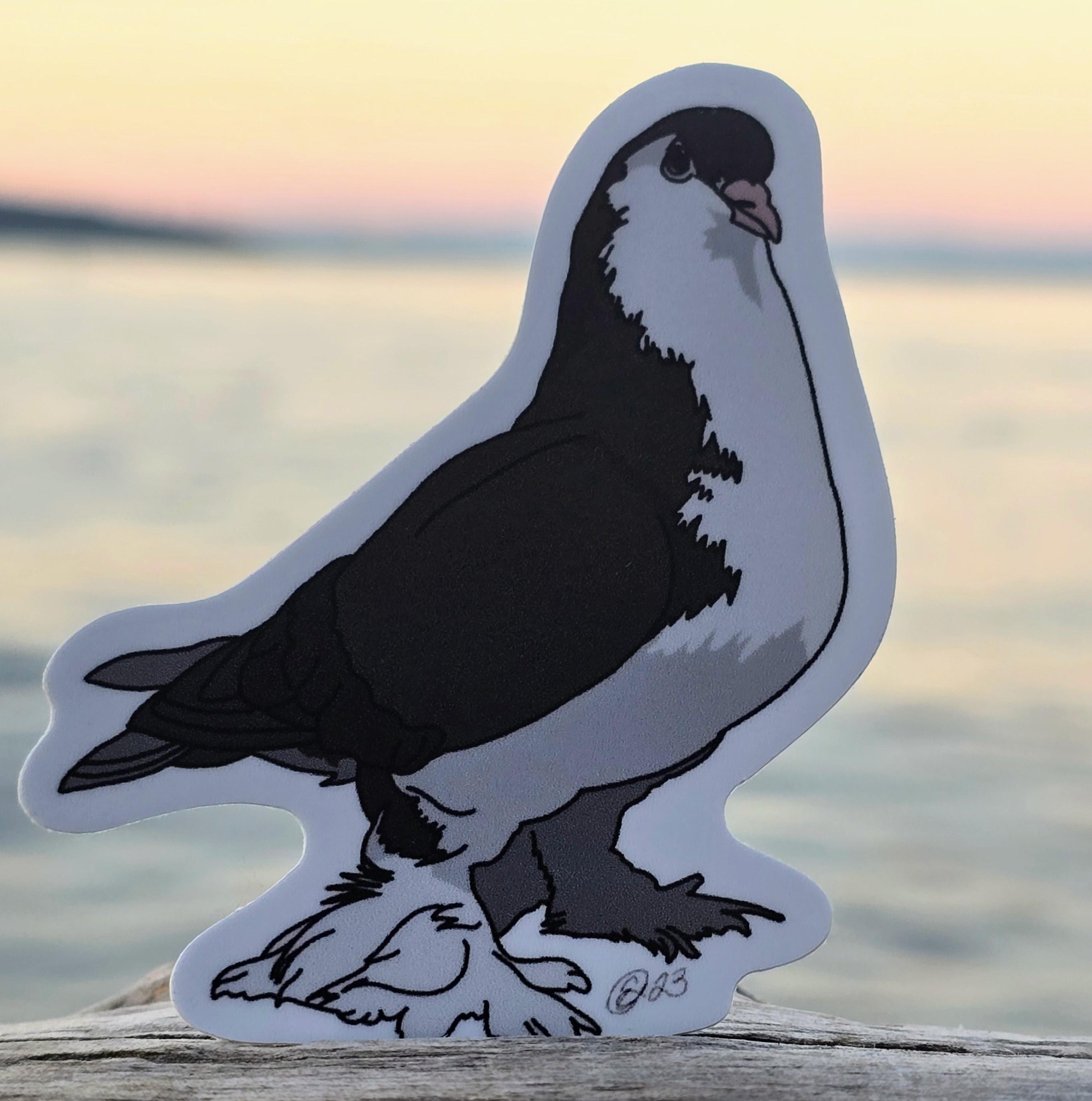 Bruno - Lahore Pigeon Sticker | Dishwasher-safe, Fade-proof Vinyl Sticker | Laptop Sticker ...