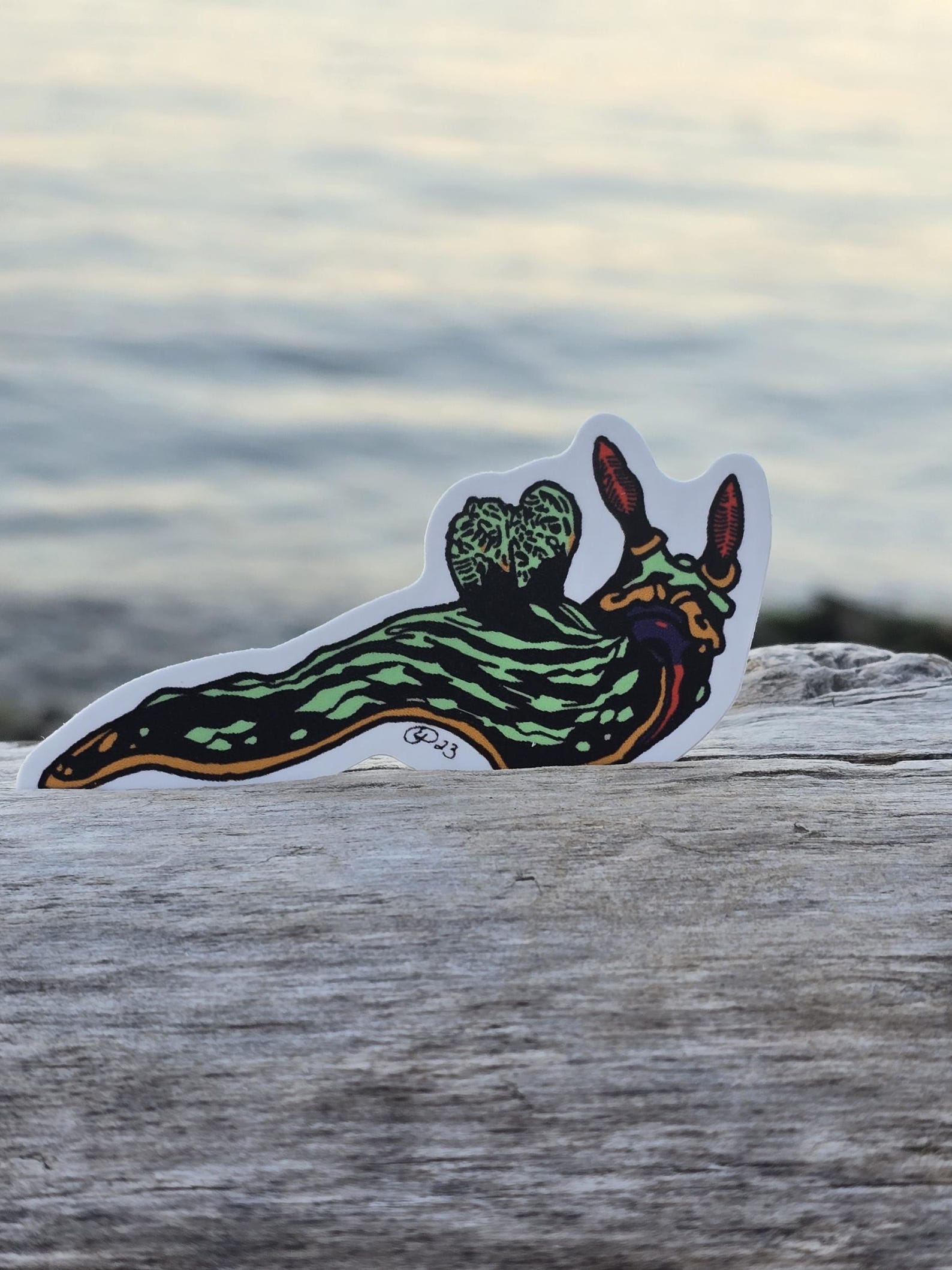 Green Sea Slug, Nudibranch Sticker | Dishwasher-safe, Fade-proof Vinyl ...