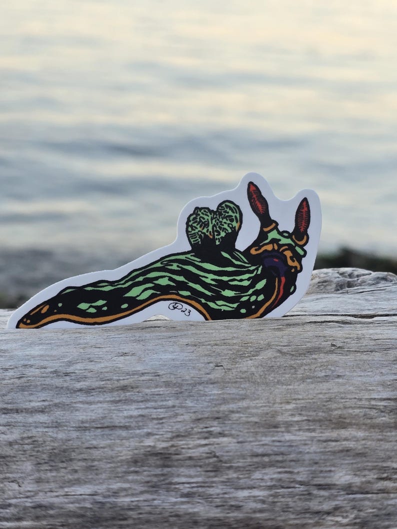 Green Sea Slug, Nudibranch Sticker | Dishwasher-safe, Fade-proof Vinyl ...
