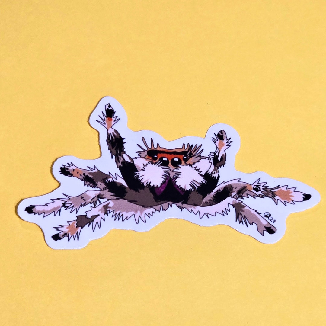 Skippy Spinneret Jumping Spider Sticker - Etsy