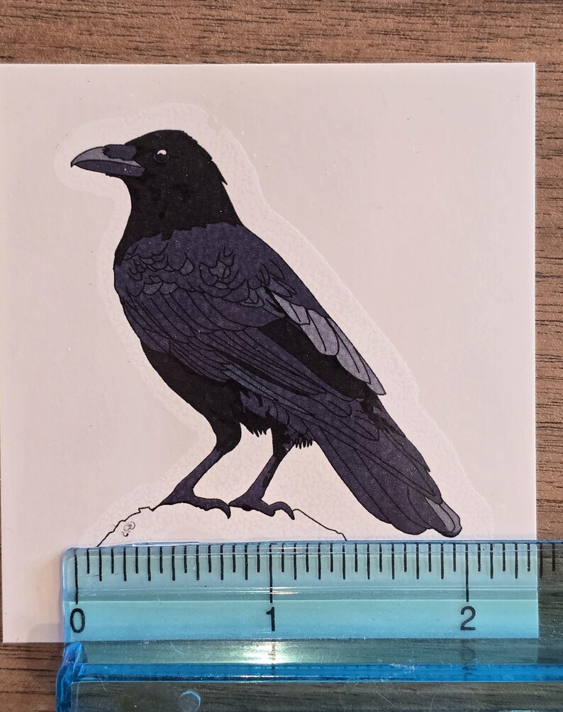 Charlie Crow Raven Temporary Tattoo - PARTY PACK | Party Favor | Body ...