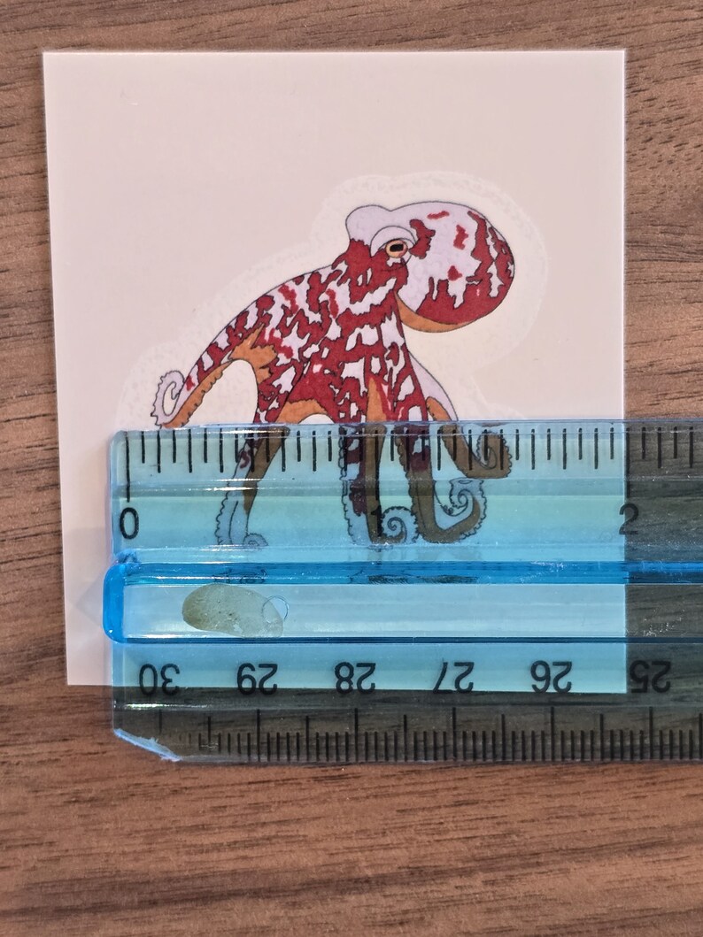 Octavia Giant Pacific Octopus Temporary Tattoo PARTY PACK - Etsy