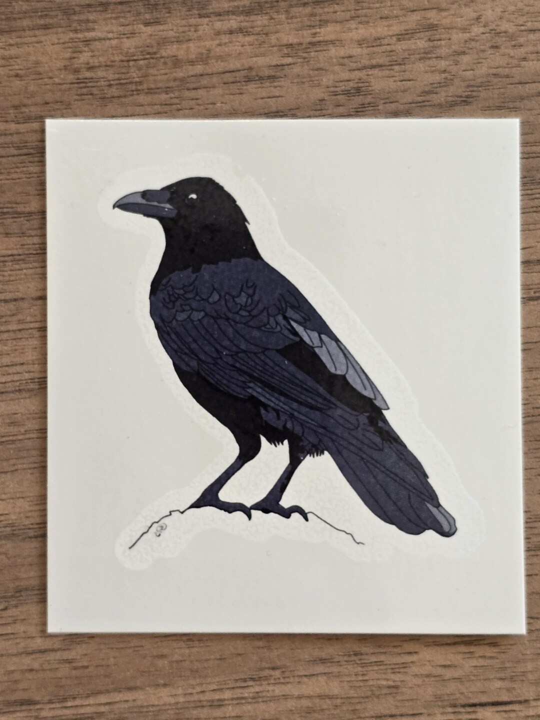 Charlie Crow Raven Temporary Tattoo - PARTY PACK | Party Favor | Body ...