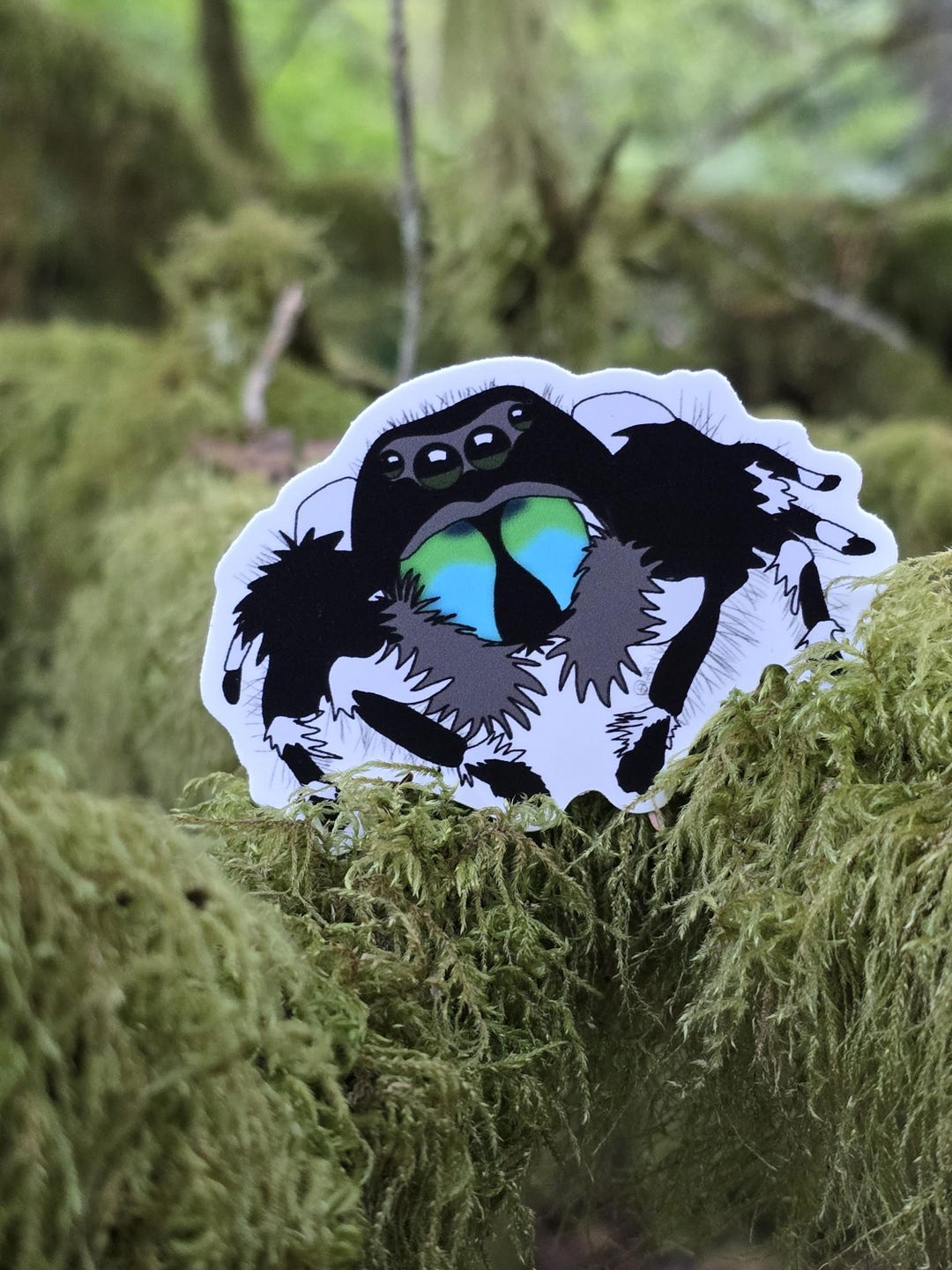 Jumping Spider Sticker, Waterproof Vinyl Sticker, Laptop Decal, Water ...