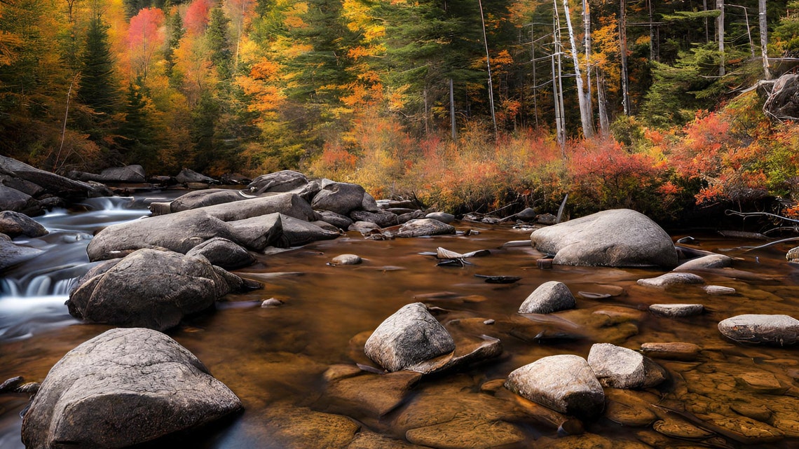 Adirondack Stream Wallpaper - Etsy