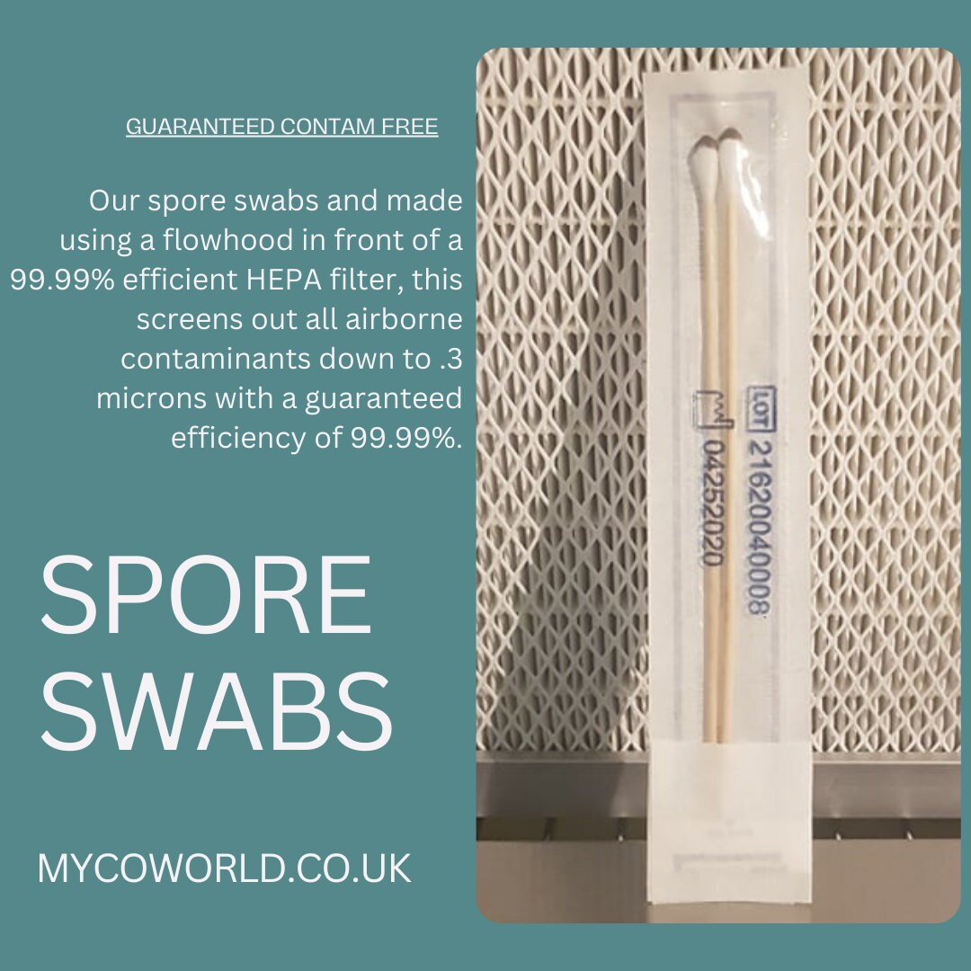 2 X Mushroom Spore Swabs Multiple Varieties - Etsy