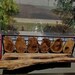 Shelves Exotic Olive Tree Slub and Costers. Handmadesolid Hard Wood ...