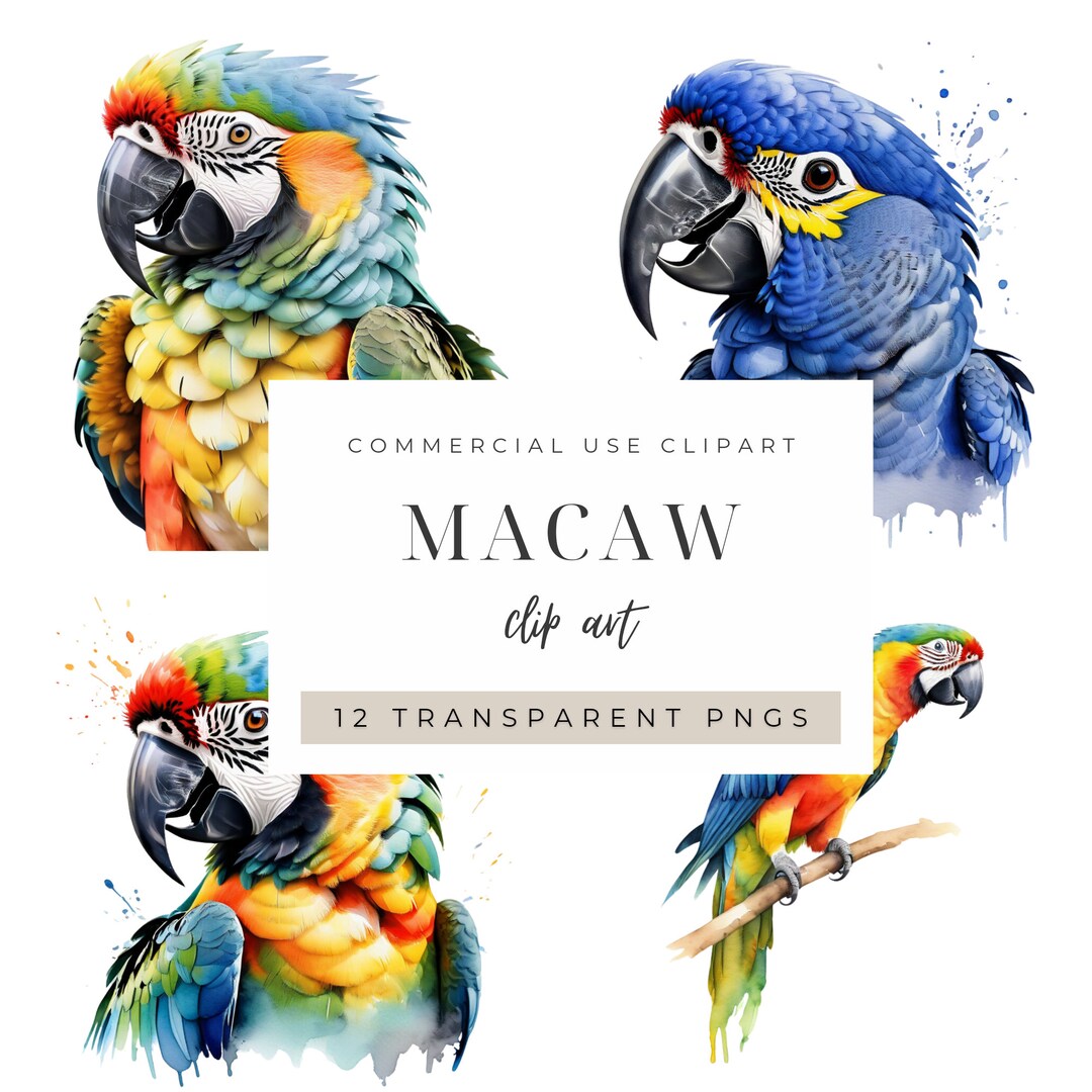 Macaw Clip Art, Watercolour Clip Art Images, Rainbow Macaws, Digital ...
