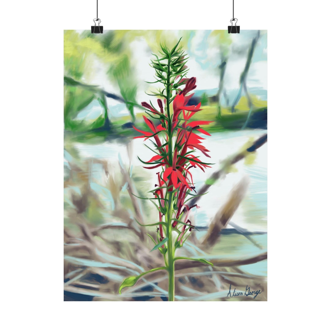 Cardinal Flower Matte Vertical Posters - Etsy