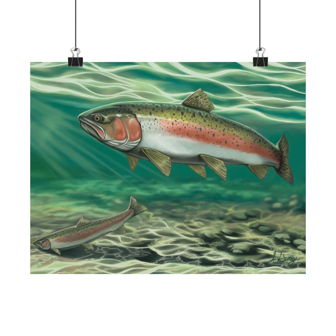 Rainbow Trout Matte Horizontal Poster - Etsy
