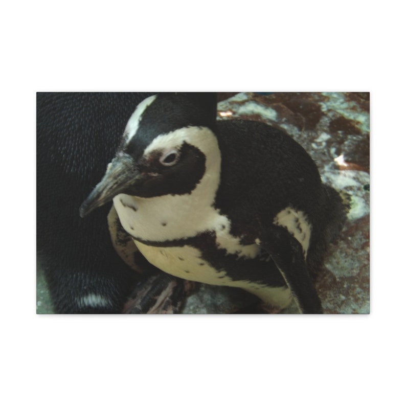 Penguin Power - Etsy