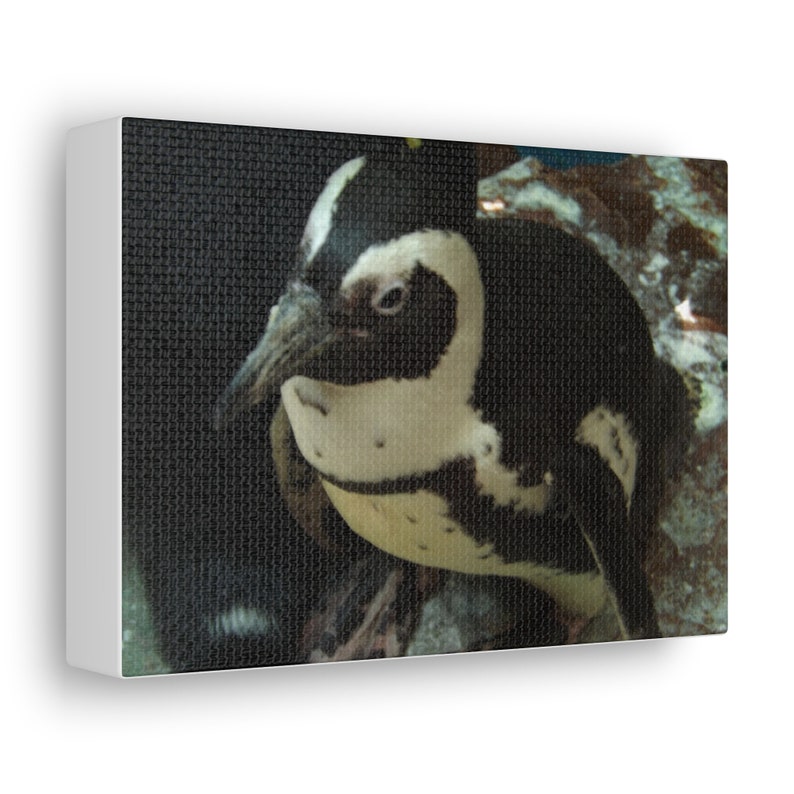 Penguin Power - Etsy