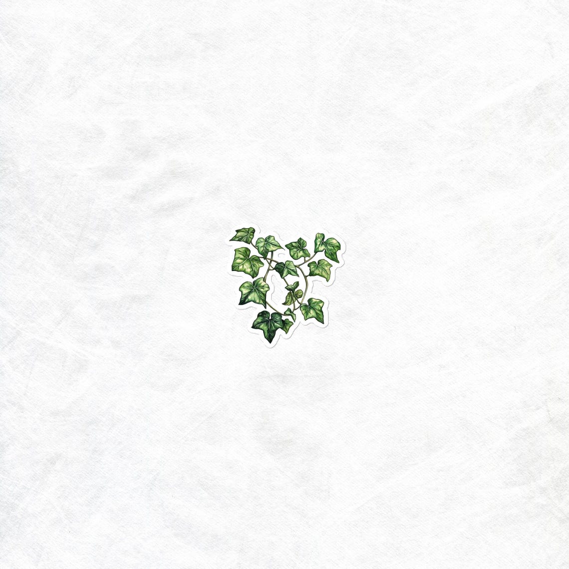 English Ivy Sticker - Etsy