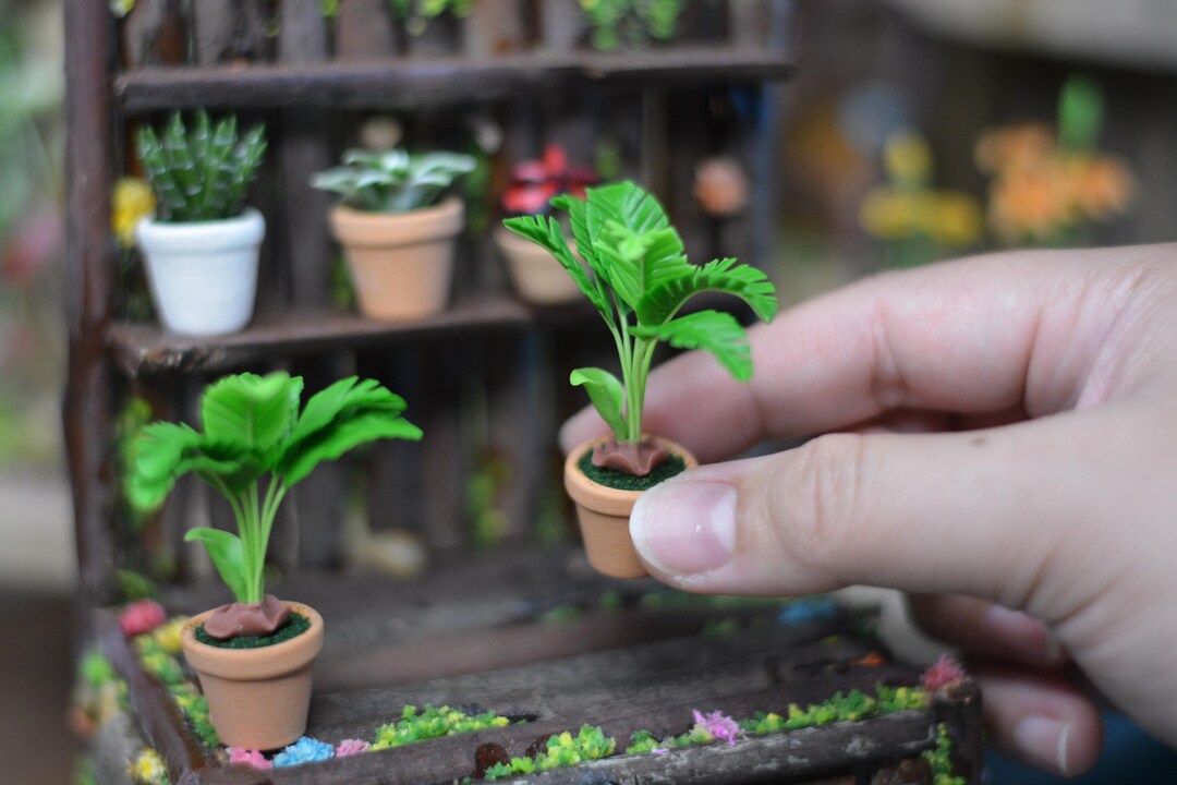 Handmade Clay Miniature Monstera Plant: Dollhouse Garden Decor - Etsy