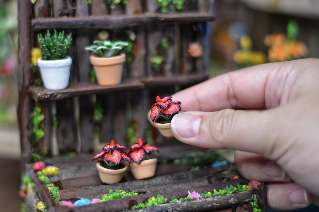 Miniature Fancy Leaf Caladium in the Pot: Handmade Clay Plant/flower ...