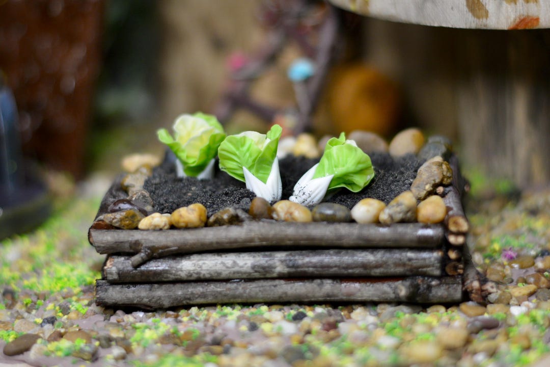 Handmade Clay Miniature Chinese Cabbage: Dollhouse Kitchen Decor - Etsy