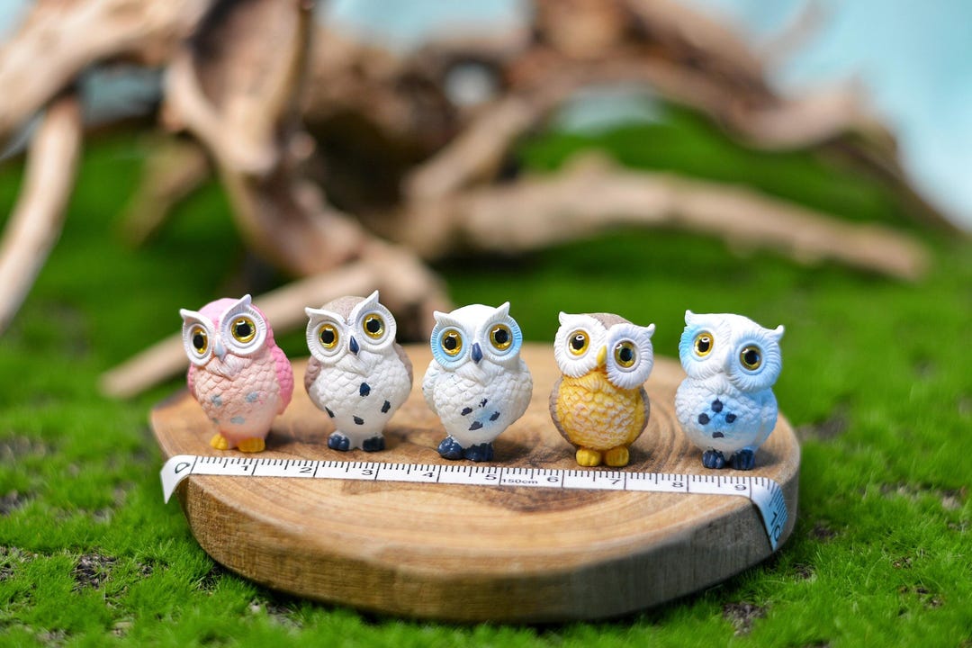 Miniature Resin Baby Owl: Fairy Garden Dollhouse Decor - Etsy