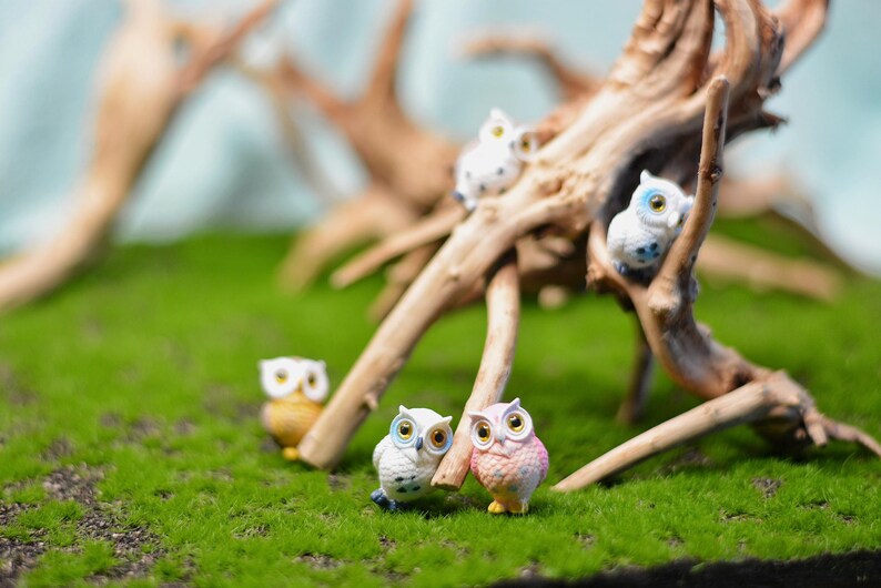 Miniature Resin Baby Owl: Fairy Garden Dollhouse Decor - Etsy