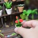 Handmade Clay Miniature Red Rose: Dollhouse Garden Decor - Etsy